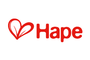 Hape – The Rocking Horse Toys