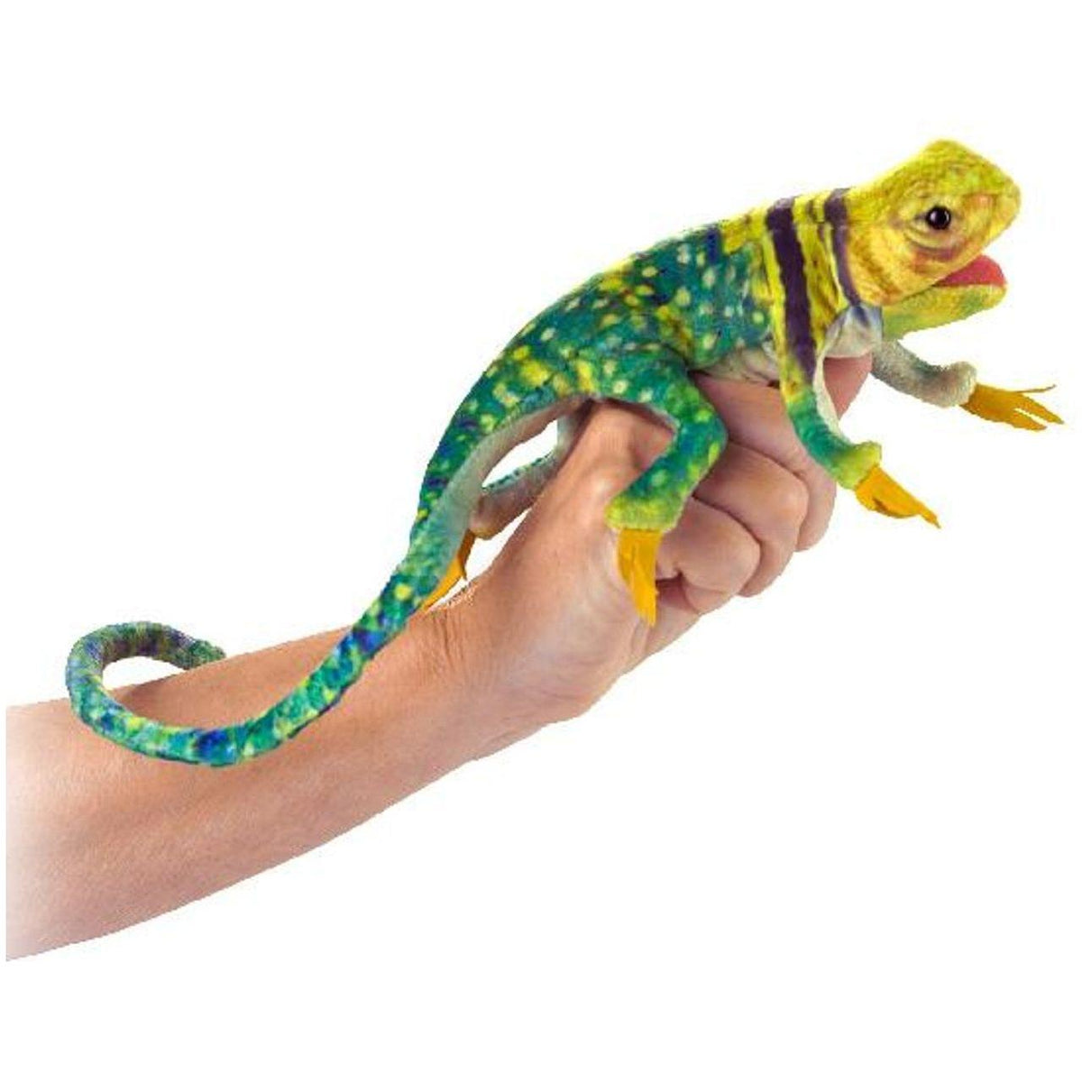 Folkmanis Finger Puppet Collared Lizard – The Rocking Horse Toys